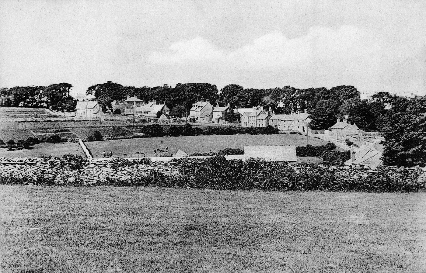 Langton Village from Fields | Swanage gallery