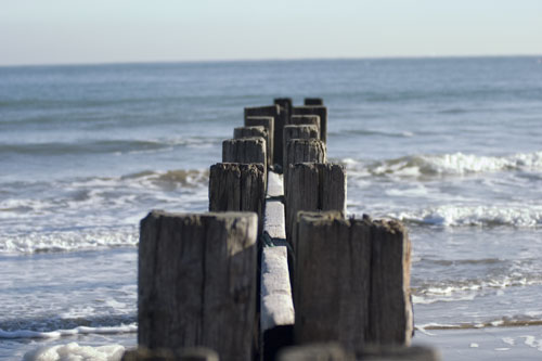 Old groynes on the Beach | Swanage gallery