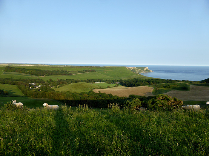 Encombe Estate | Swanage gallery